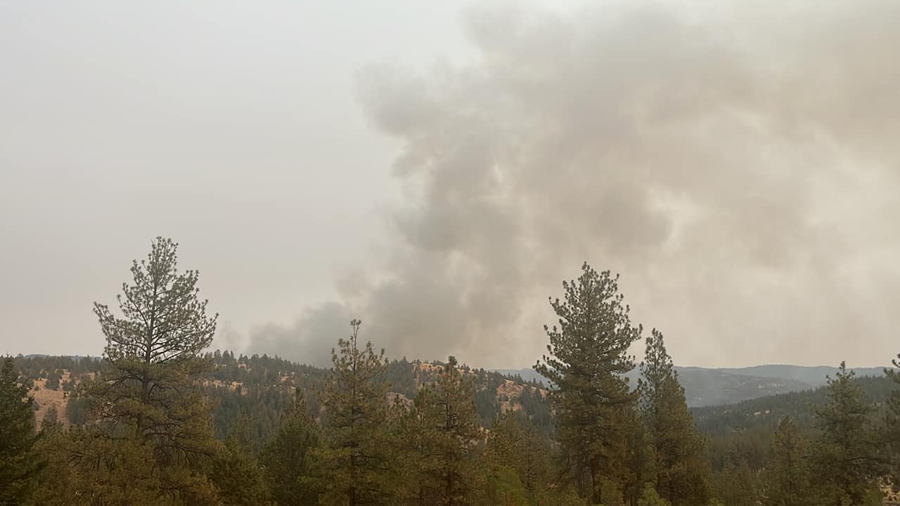Shoe Fly Fire Update: Firefighters hold line and transition to mop-up ...