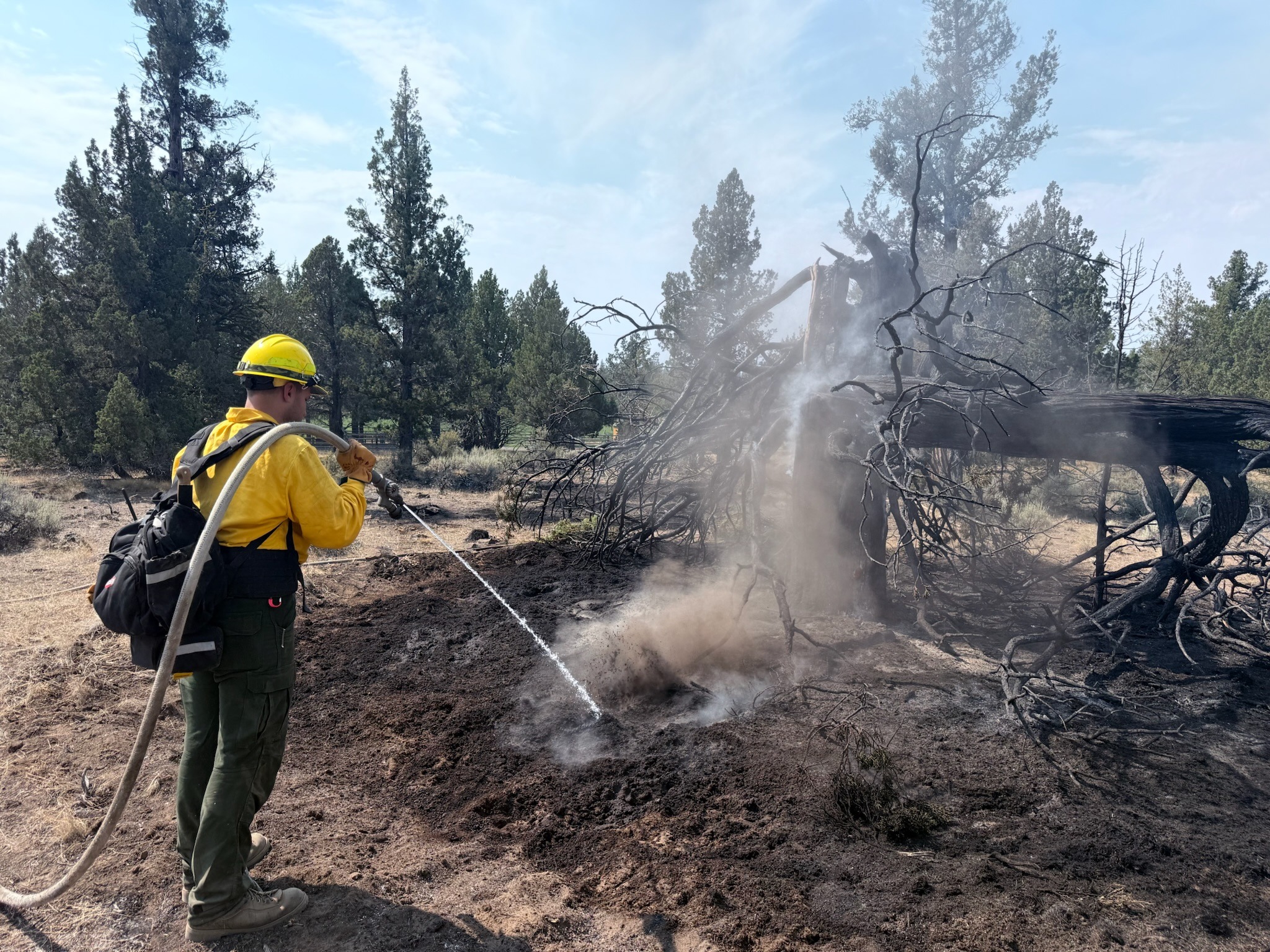 Flat Fire Sees Progress Overnight as Crews Strengthen Lines – OREGON ...